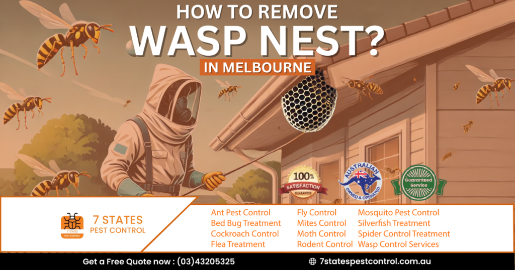 How to remove wasp nest? 7 State Pest Control.