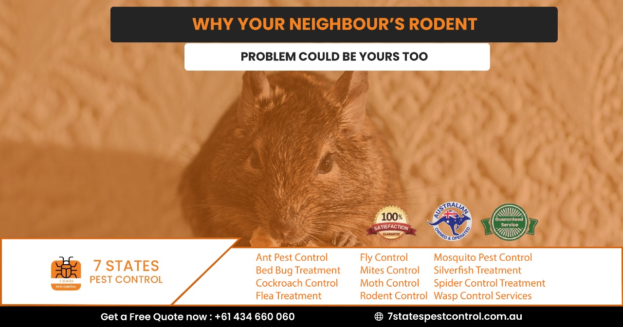 Rodent Pest Control Melbourne | Stop Neighbour Infestations