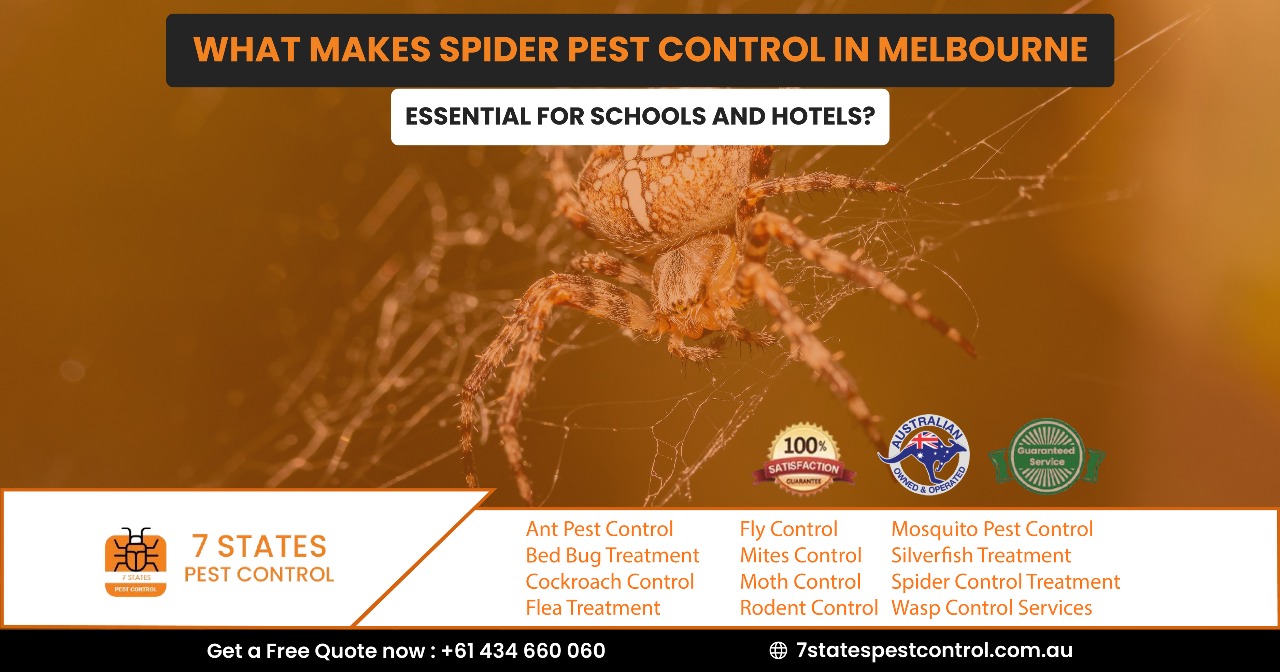 Spider Pest Control Melbourne | Schools & Hotels