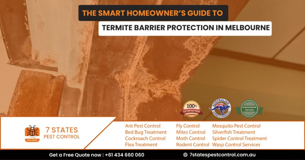 Termite Barrier & Termite Removal Melbourne Guide